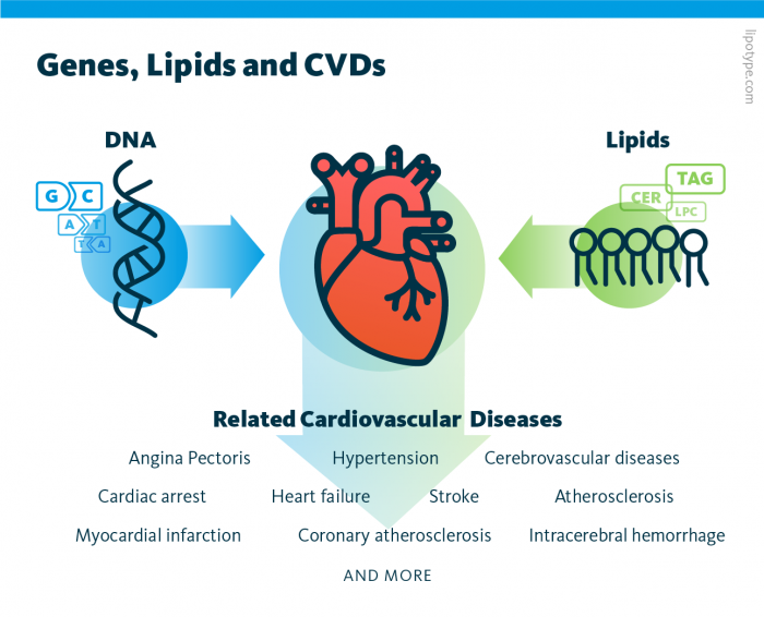 Multiomics In Cardiovascular Disease Research Genome Lipidome