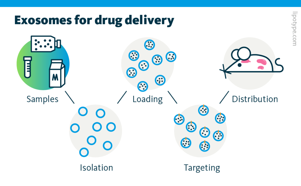Exosome Characterization for Targeted Drug Delivery - Lipidomics ...