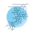 GD2 Ganglioside Analysis - Lipid Analysis - Lipotype GmbH