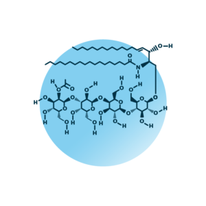 Gb4 Globoside Analysis - Lipid Analysis - Lipotype GmbH