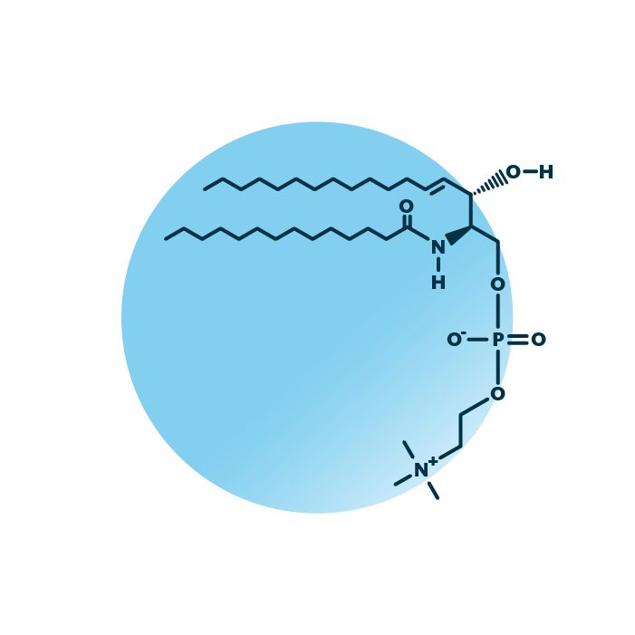 Sphingomyelin Analysis - Lipid Analysis - Lipotype GmbH