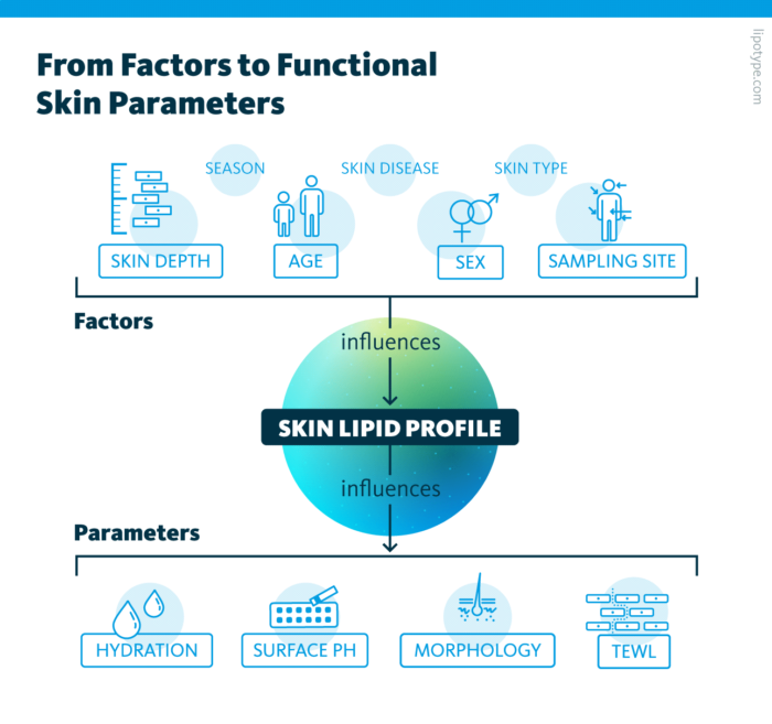 Variability of skin lipidomics profiles - Skin Lipidomics of Skin ...