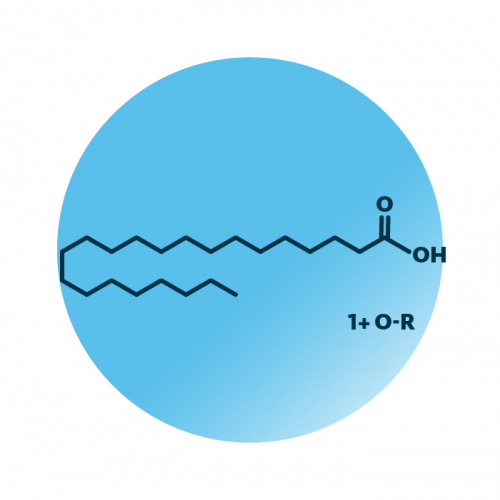 Docosanoids Analysis - Lipid Analysis - Lipotype GmbH