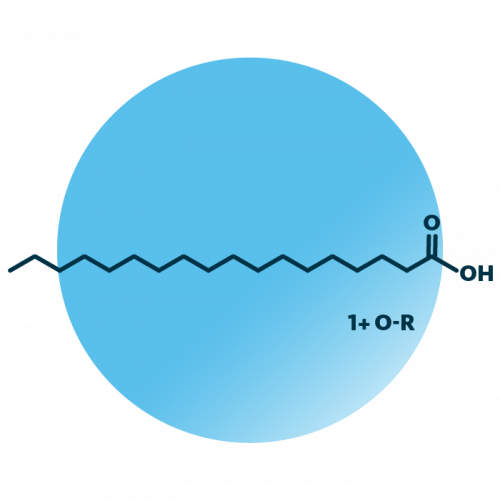 Octadecanoids Analysis - Lipid Analysis - Lipotype GmbH