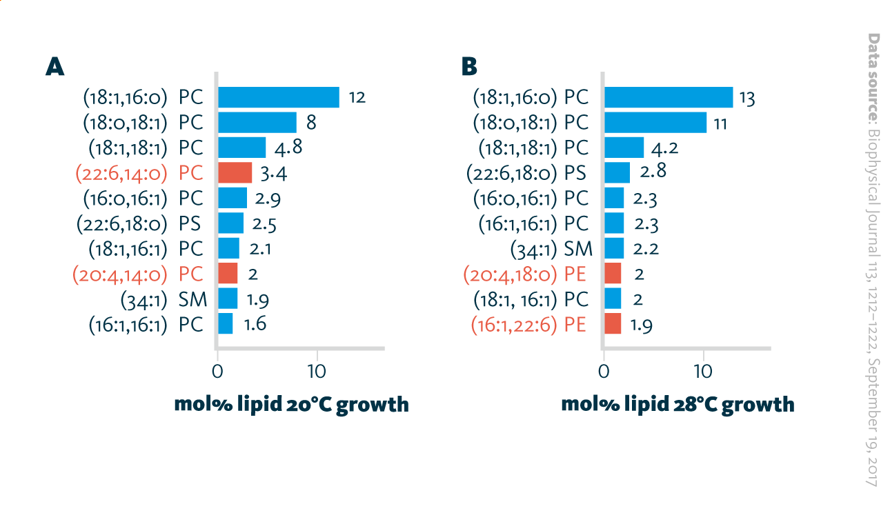 Growth temperature influences membrane lipids - Lipotype GmbH