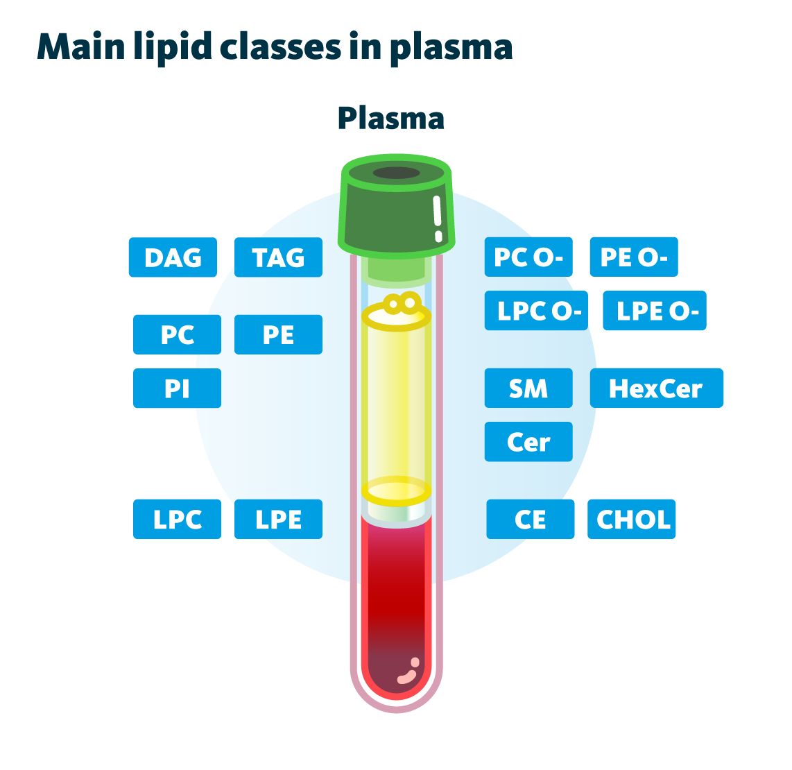 Plasma Lipidomics - Lipotype GmbH
